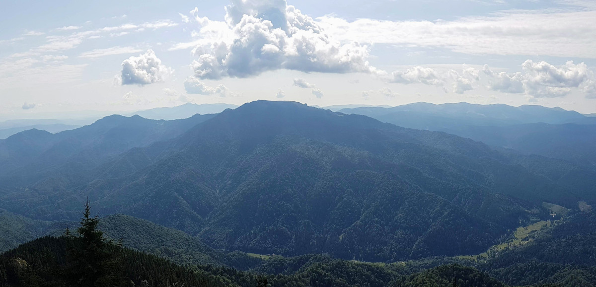 Vârful Postăvaru, dus-întors din Brașov • Călătorul Claudiu