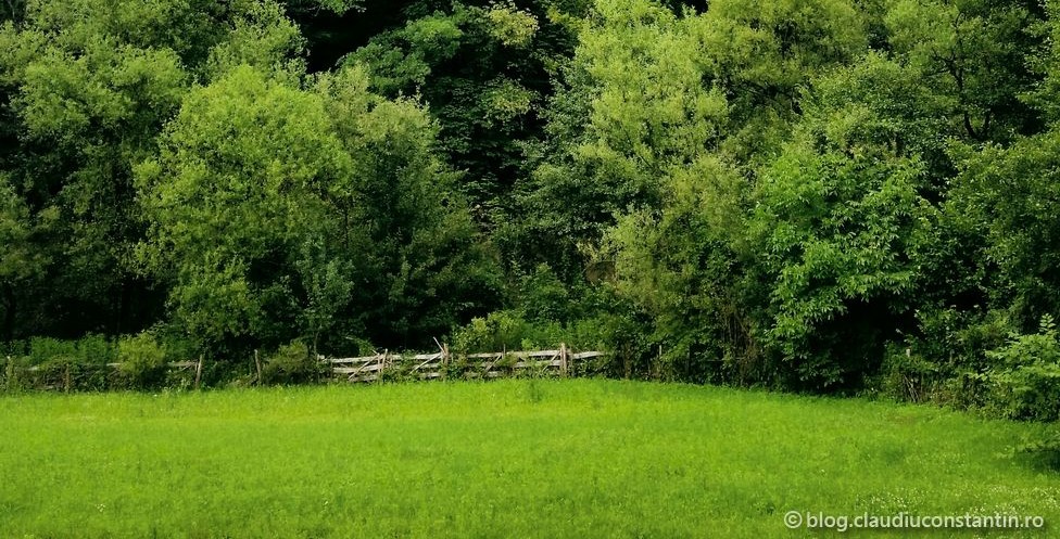 Case naturale cu Coliba Verde • Călătorul Claudiu
